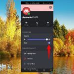 How to Mute Someone on Discord via Server Mute or Message Mute