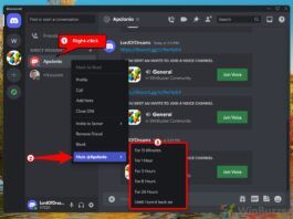 How to Mute Someone on Discord via Server Mute or Message Mute