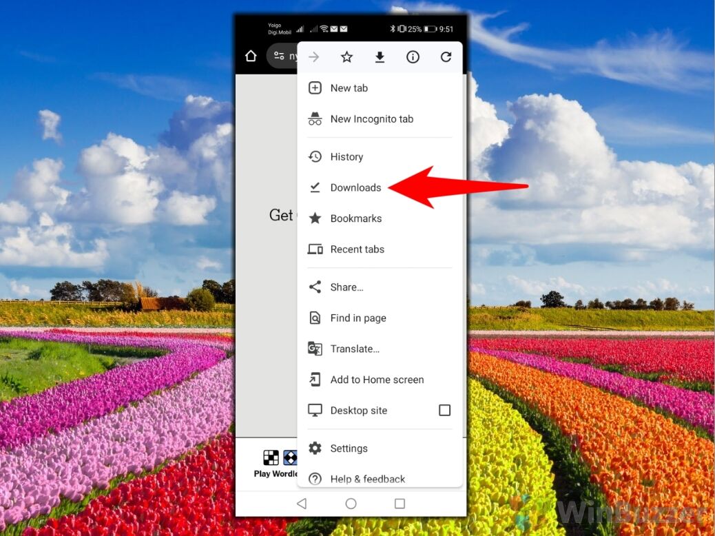 How to Download Wordle For Free and Play Offline - WinBuzzer